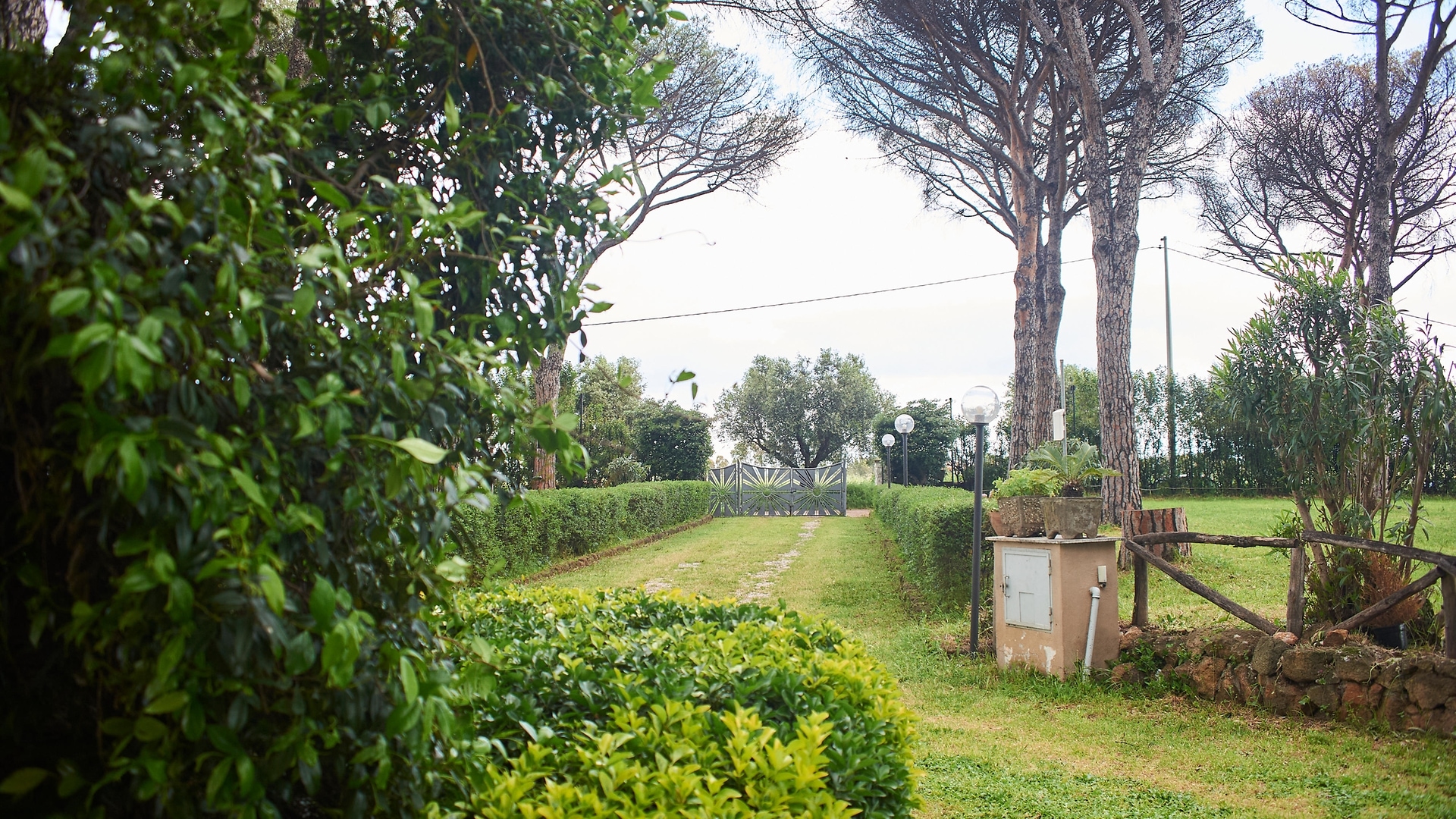 FENDI Urban Biodiversity Project