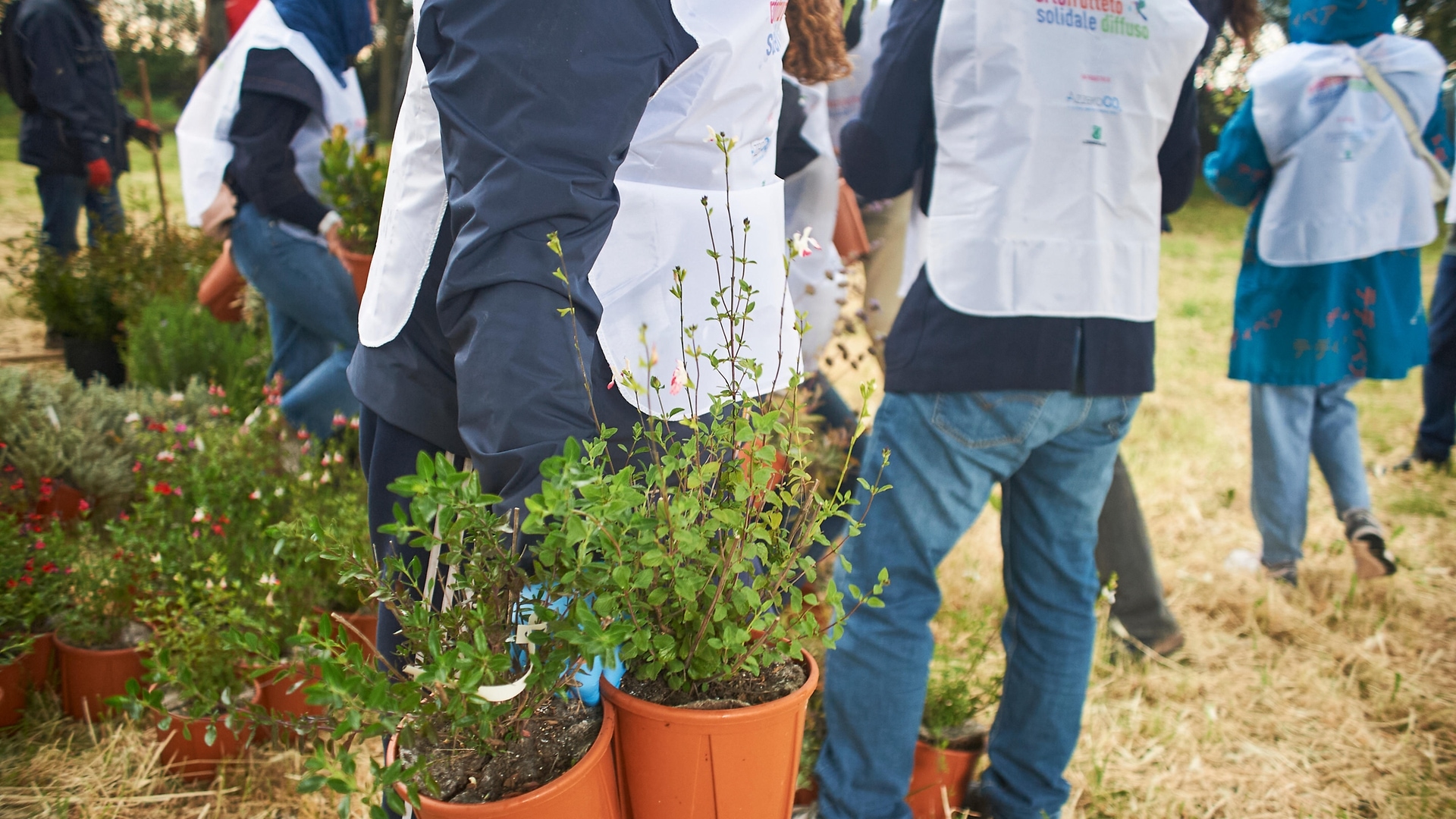 FENDI Urban Biodiversity Project