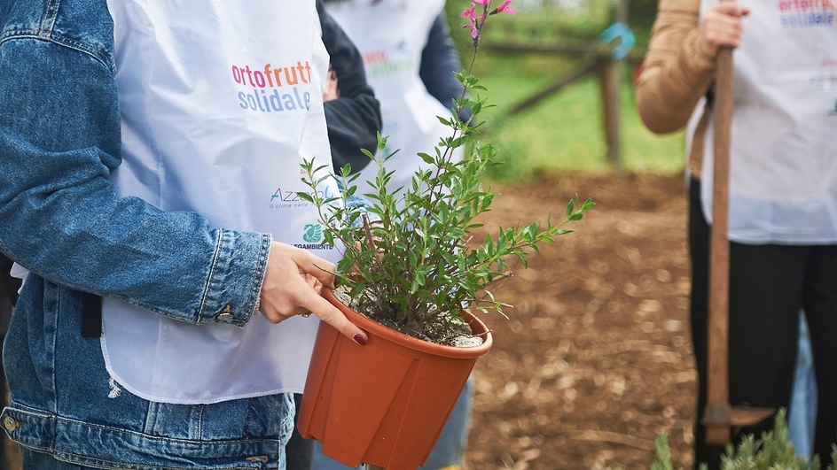 FENDI Urban Biodiversity Project